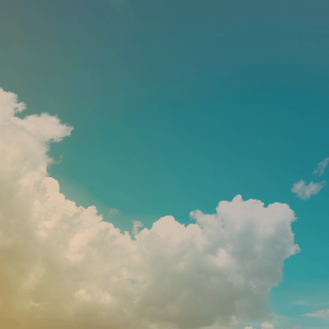 Wie unterscheiden sich RISE with SAP und die S/4HANA Cloud?